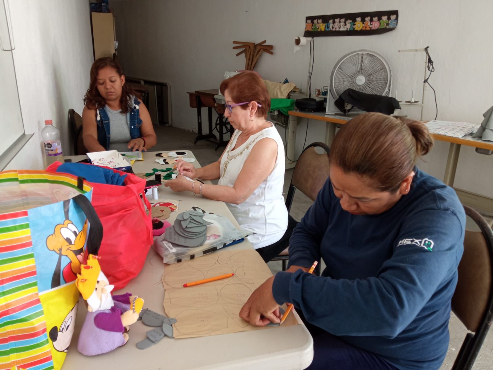 DIF CONTRIBUYE AL EMPODERAMIENTO Y EMPRENDIMIENTO FAMILIAR - El ...