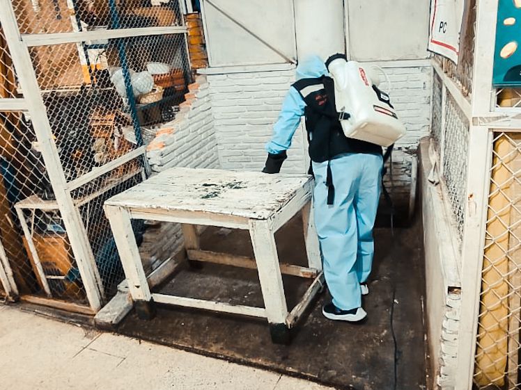 PARA LA ELIMINACIÓN DE PLAGAS, AYTO DE LA CAPITAL REALIZÓ FUMIGACIÓN EN ...